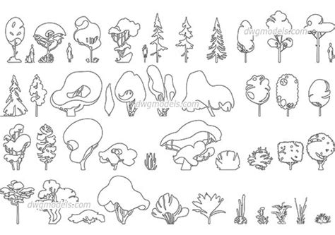 Trees And Shrubs Legend DWG Free CAD Blocks Download