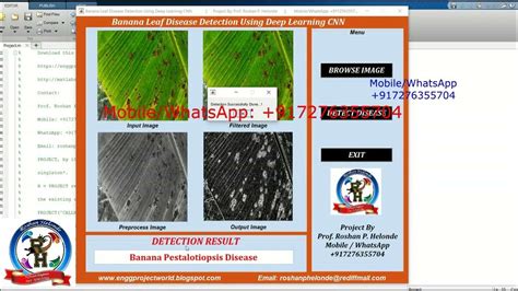 Banana Leaf Disease Detection Using Cnn With Source Code Matlab Project Leaf Disease