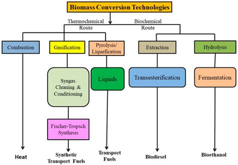 Biofuels Production A Review On Sustainable Alternatives To