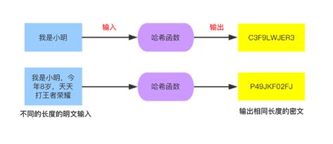 常用加密算法加密算法有几种 Csdn博客