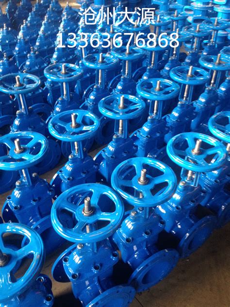 明杆软密封闸阀 200 厂家价格 闸阀 沧州大源机械有限公司 中国泵阀网 zgbfw