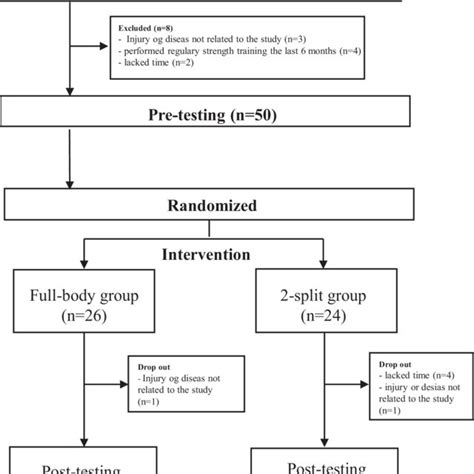 Flowchart Showing Participants Randomization And Dropouts Download