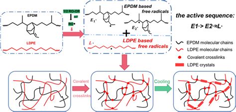 Schematic Diagram Of Cross Linked Network Structure In Epdm Ldpe Composites Download