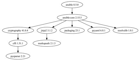 Exploring Memory Safety In Critical Open Source Projects Au