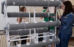 Smart Hydroponic Assembly Made With Arduino Mega Arduino Blog
