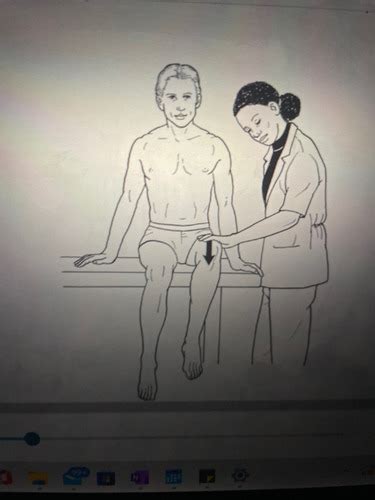 Lower Mmt Flashcards Quizlet