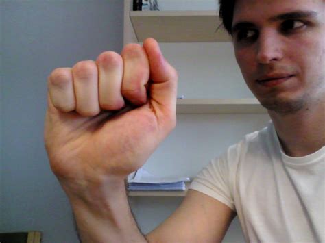 hand gestures object detection dataset by fernando lee