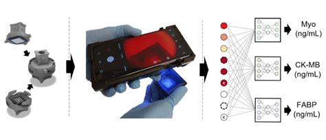 Multiplexed Paper Based Biosensor For Point Of Care Testing