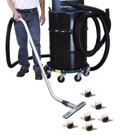 How To Get Rid Of Cluster Flies In The House