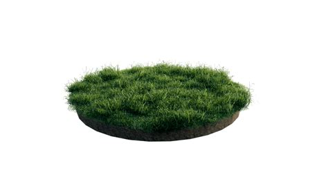 Grass Top View Pngs For Free Download