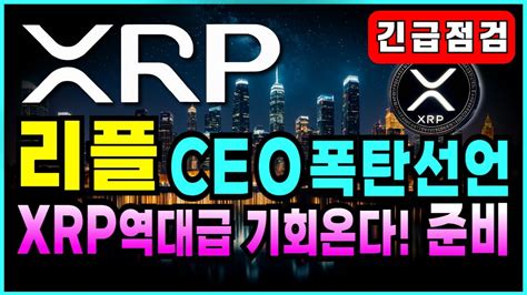 Xrp코인 전망⭐리플ceo 트럼프 암호화폐 캠프 합류 엑스알피 급등랠리 얼마 안남았습니다 현금 준비하세요 리플 리플코인 리플전망 Youtube