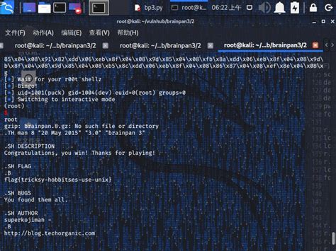 Vulnhub Brainpan Xfd S Blog