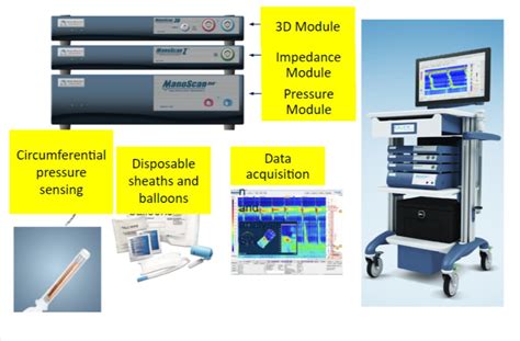 Understanding Esophageal Manometry Insights Functioning