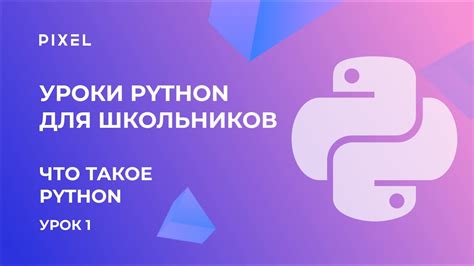 Что такое Python Уроки Python для школьников Курс Python с нуля Уроки Питона для