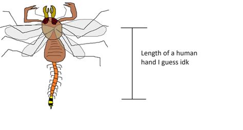 Behold The Nopenopeity Terrorbug The Top 1 Most Dangerous Insects Of