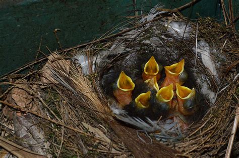 Configuring A Symfony2 Application To Support Soa