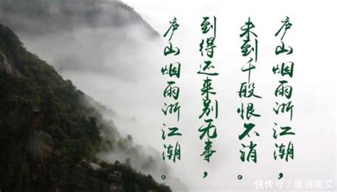 菊韵庐山烟雨浙江潮散文 江山文学网