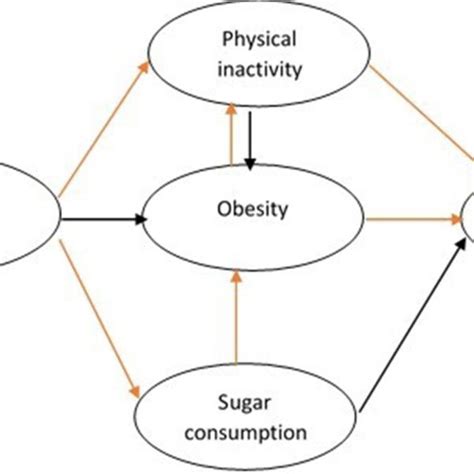 A Conceptual Framework Disentangling The Reciprocal Associations Of The Download Scientific