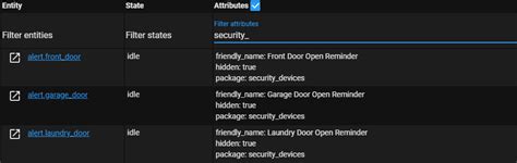 What Is The Purpose Of Defining The Package When Customizing Entities Configuration Home
