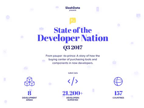 State Of The Developer Nation Infographic
