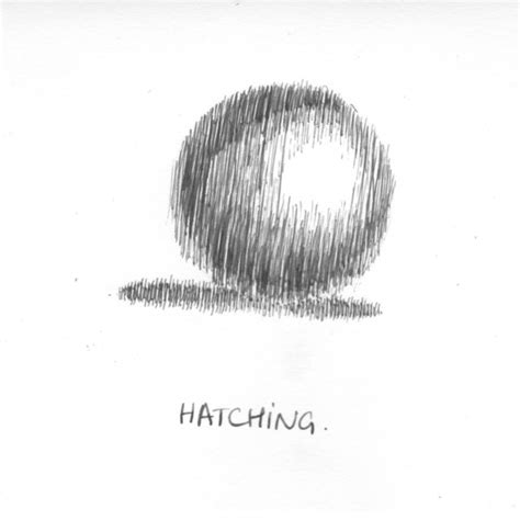 Hatching Sketch At Explore Collection Of Hatching
