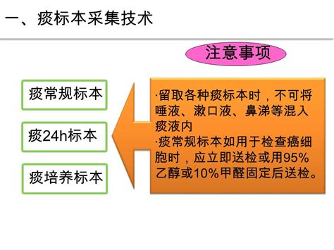 痰培养标本采集流程图 培养标本采集流图 标本采集流图 第2页 大山谷图库