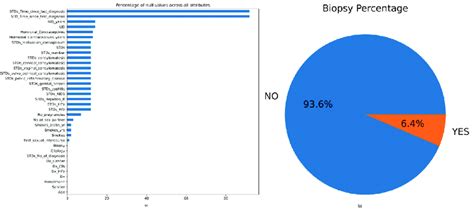 A Bar Graph Showing The Percentage Of Null Values In The Dataset B