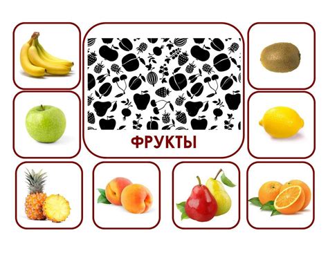 Classification Of Objects Worksheets