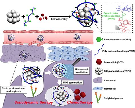 Biomedical Applications Of Tio2 Nanostructures Recent Advances Ijn