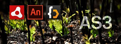 actionscript facebook