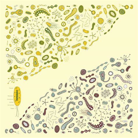 Germs Vector Art And Graphics