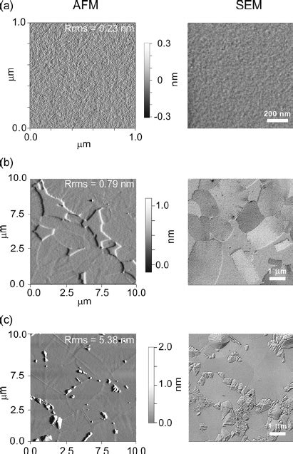 Spectroscopic Ellipsometry Simulation Results Of The Fi Rst Download Scientific Diagram