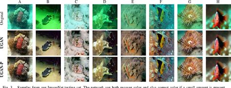 Figure From Enhancing Underwater Imagery Using Generative Adversarial Networks Semantic Scholar