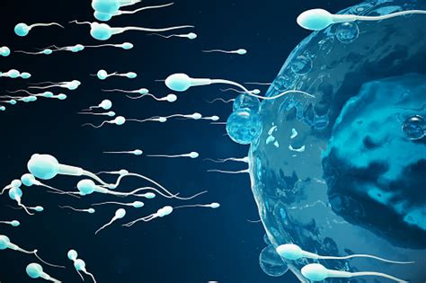 정자와 난 자 세포 Ovum입니다 네이티브 및 자연 수정클로 우즈 업 보기 새로운 생명의 개념 시작입니다 의료 개념 3d 그림 3차원 형태에 대한 스톡 사진 및 기타 이미지