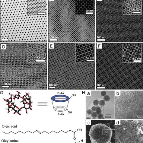 Mnps‐based Self‐assembly A Tem Image Of Au Nps Capped With Download Scientific Diagram