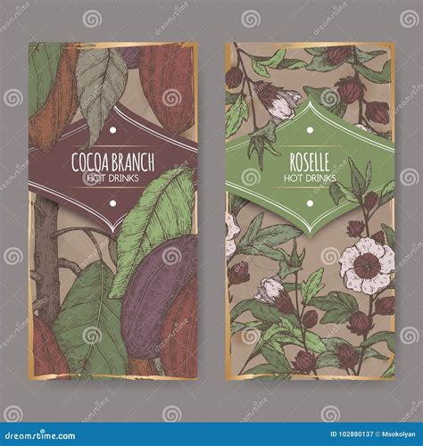Cocoa Tree Illustration Drawing Engraving Ink Line Art Vector Cocoa Tree Illustration Drawing Engraving Ink Line Art Vector