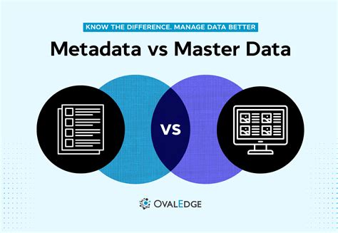 Metadata Vs Master Data What They Are And Why They Matter In 2025