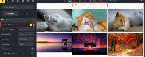 How To Create A Filterable Image Gallery Using Bricks Builder Max
