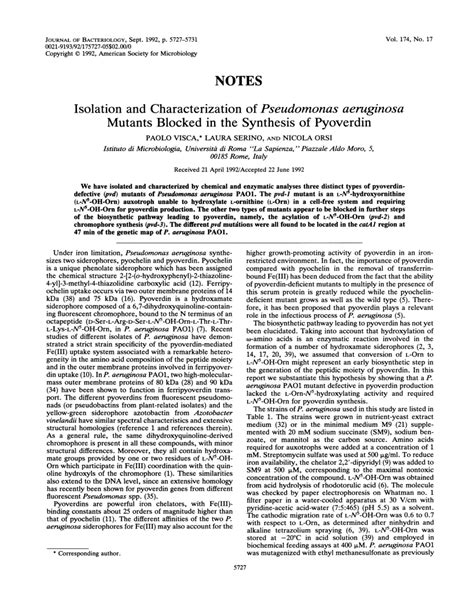 Pdf Isolation And Characterization Of Pseudomonas Aeruginosa Mutants