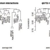 Hierarchical Clustering Of Transcripts Clustering Is Based On The Download Scientific Diagram