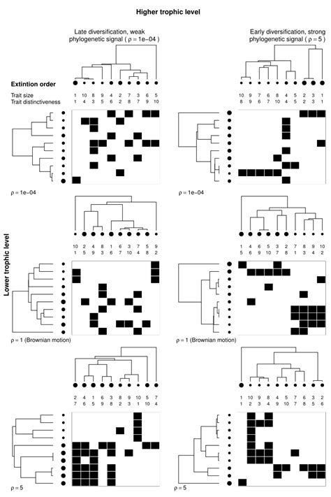 Examples Of Some Of The Possible Eco Evolutionary Dynamics Of Bipartite Download Scientific