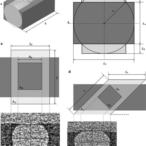 A A Model Simplifying The Local Elasticity Of The Contact Zone Download Scientific Diagram