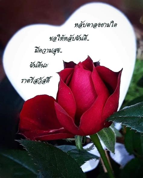 ปักพินโดย Kritsana Suntiari ใน วันพฤหัสบดี ราตรีสวัสดิ์ ฝันดีราตรีสวัสดิ์ สวัสดีตอนเช้า