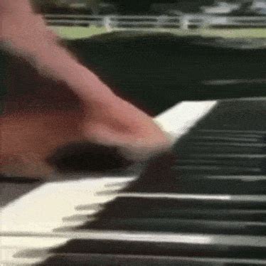 Horse Horse Playing Piano  Horse Horse Playing Piano Horse Playing