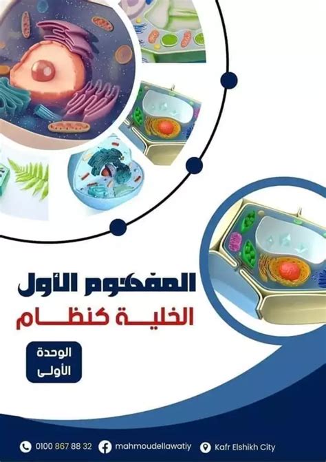 أسماء دروس منهج الصف السادس الابتدائي الجديد 2024 علوم شبابيك