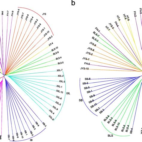 Phylogenetic Tree Construction With The Neighbor Joining Nj Method A