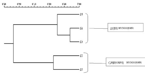 Upgma Dendrogram Of Five Experimental Accessions Based On Rapd