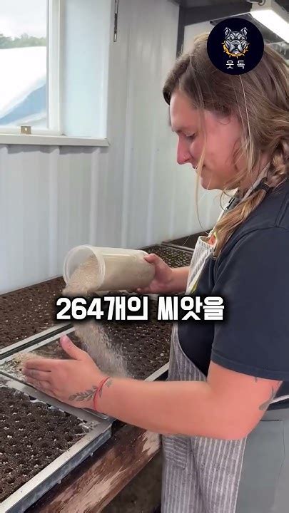 벌집 종이로 묘목 만드는 신기술 채소 농사 Youtube