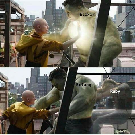 How I See Elixir R ProgrammerHumor