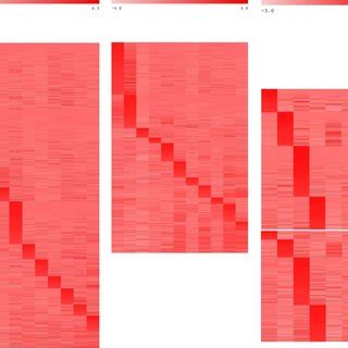 Heat Map Showing Tissue Specific Expression Pattern Of DE LncRNAs A